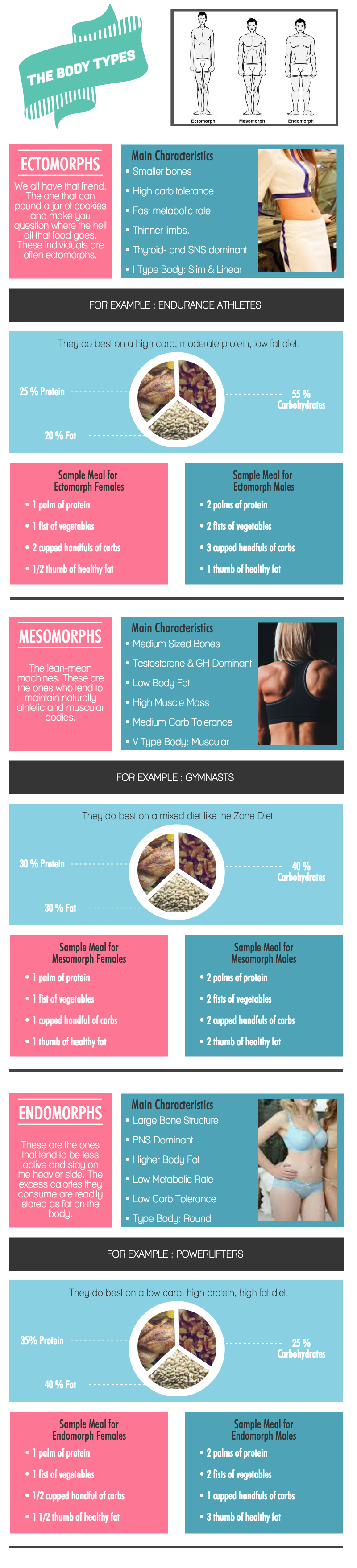 Body Types Explained : Ectomorphs,Mesomorphs & Endomorphs
